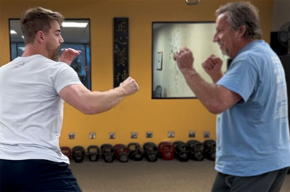 Fake Punch - How to DESTROY a Punch Swatter - Realistic Martial Arts ...