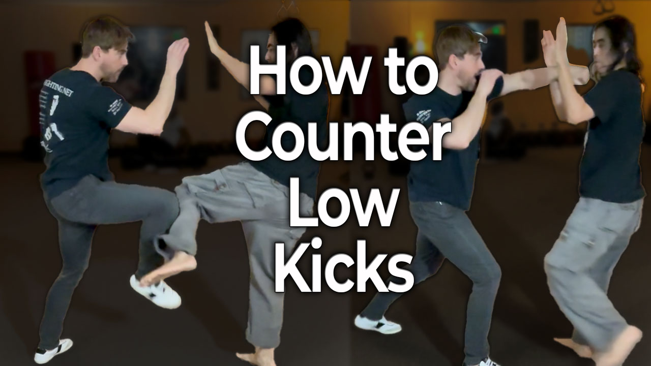 How to Defend & Counter Low Kicks - Realistic Martial Arts | Jeet Kune ...